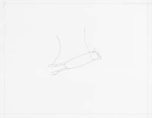 Learn How to Draw a Bat Flying in the Sky Step by Step | My Modern Met