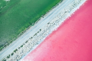 Photographer Captures Bubble-Gum Hues of France's Salt Fields