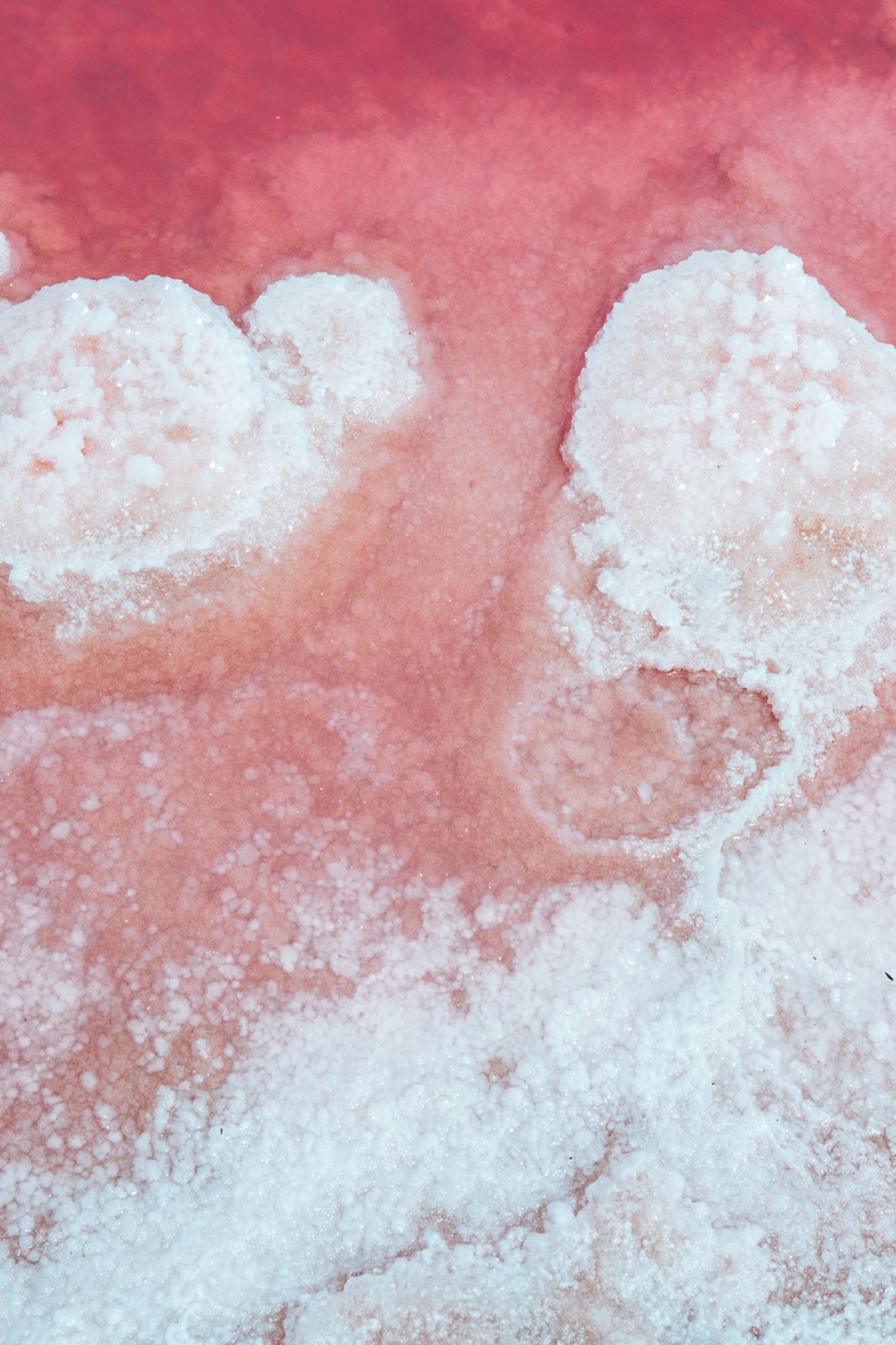 Photographer Captures Bubble-Gum Hues of France's Salt Fields