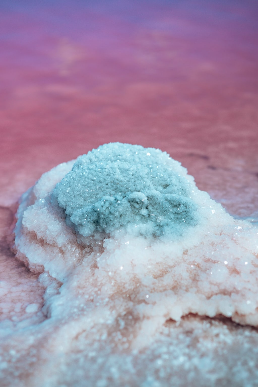 Photographer Captures Bubble-Gum Hues of France's Salt Fields