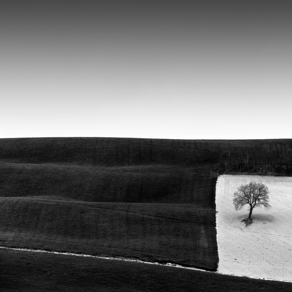 Amazing Winners of the 2021 Minimalist Photography Awards | My Modern Met