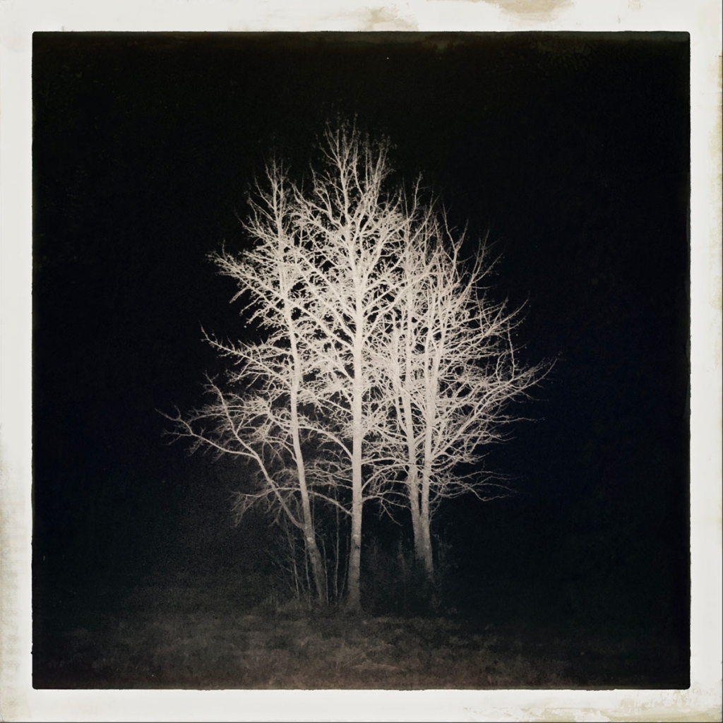 Amazing Winners of the 2021 Minimalist Photography Awards | My Modern Met