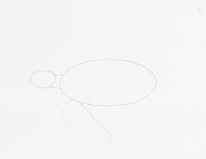 Learn How to Draw a Sea Turtle Swimming in the Ocean Step by Step