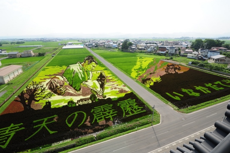 This Japanese Village Creates Amazing Rice Paddy Art Every year