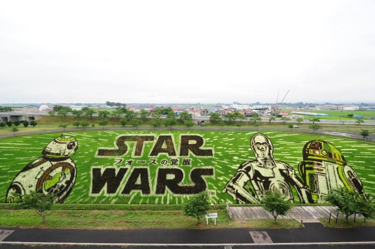 This Japanese Village Creates Amazing Rice Paddy Art Every year