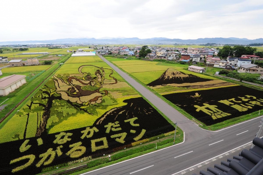 This Japanese Village Creates Massive Rice Paddy Art Every Year | My ...