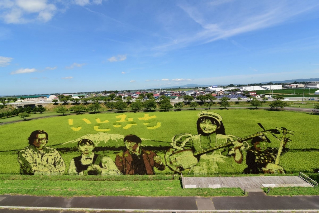 This Japanese Village Creates Amazing Rice Paddy Art Every year