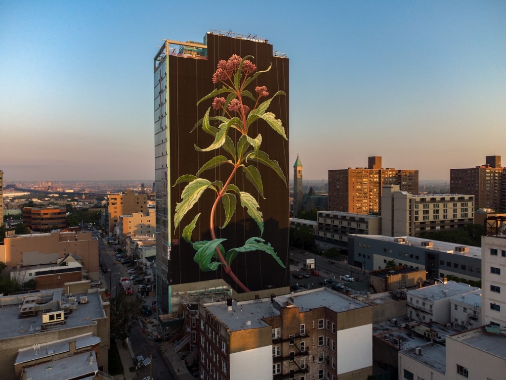 Massive 20-Story Flower Mural Sprouts From Jersey City Skyline | My ...