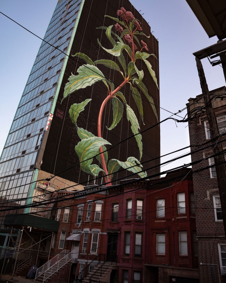 Massive 20-Story Flower Mural Sprouts From Jersey City Skyline | My ...