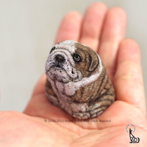 Artist Paints Rocks to Look Like Real Animals You Can Hold in Your Hand