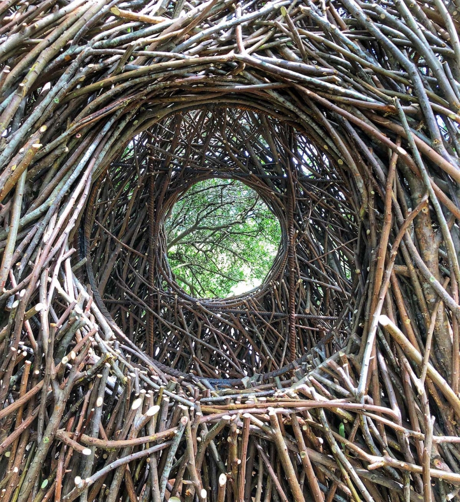 Incredible Wooden Sculptures Resemble Giant Bird's Nests