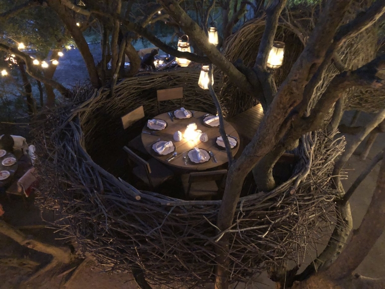 Incredible Wooden Sculptures Resemble Giant Bird's Nests