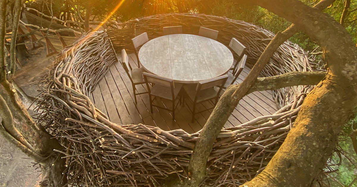Incredible Wooden Sculptures Resemble Giant Bird's Nests