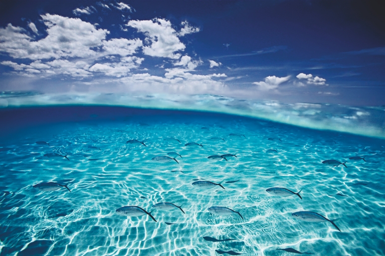 Incredible Ocean Photography Shows Above and Below the Surface