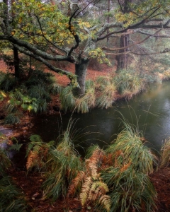 Actor Who Played Colin Creevey in Harry Potter Now a Pro Photographer