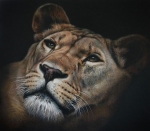 Striking Acrylic Paintings Celebrate the Beauty of Lions and Tigers