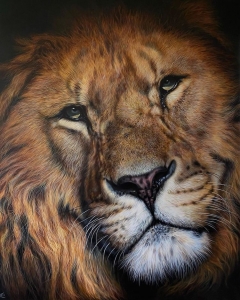 Striking Acrylic Paintings Celebrate the Beauty of Lions and Tigers
