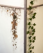 Photographer Captures Magic Moments That Happen Everyday in NYC