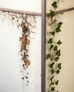 Photographer Captures Magic Moments That Happen Everyday in NYC