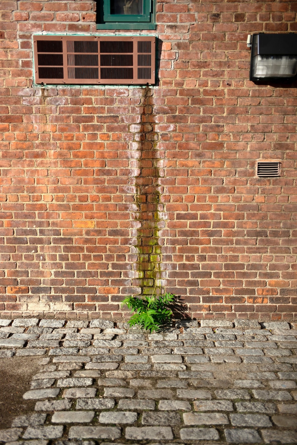 Photographer Captures Magic Moments That Happen Everyday in NYC