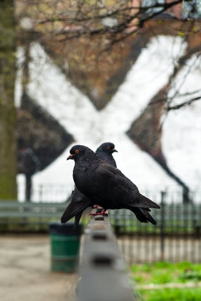 Street Photographer Captures the Magical Moments That Happen When We’re ...