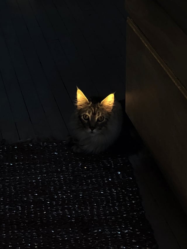 Street Photographer Captures the Magical Moments That Happen When We’re ...