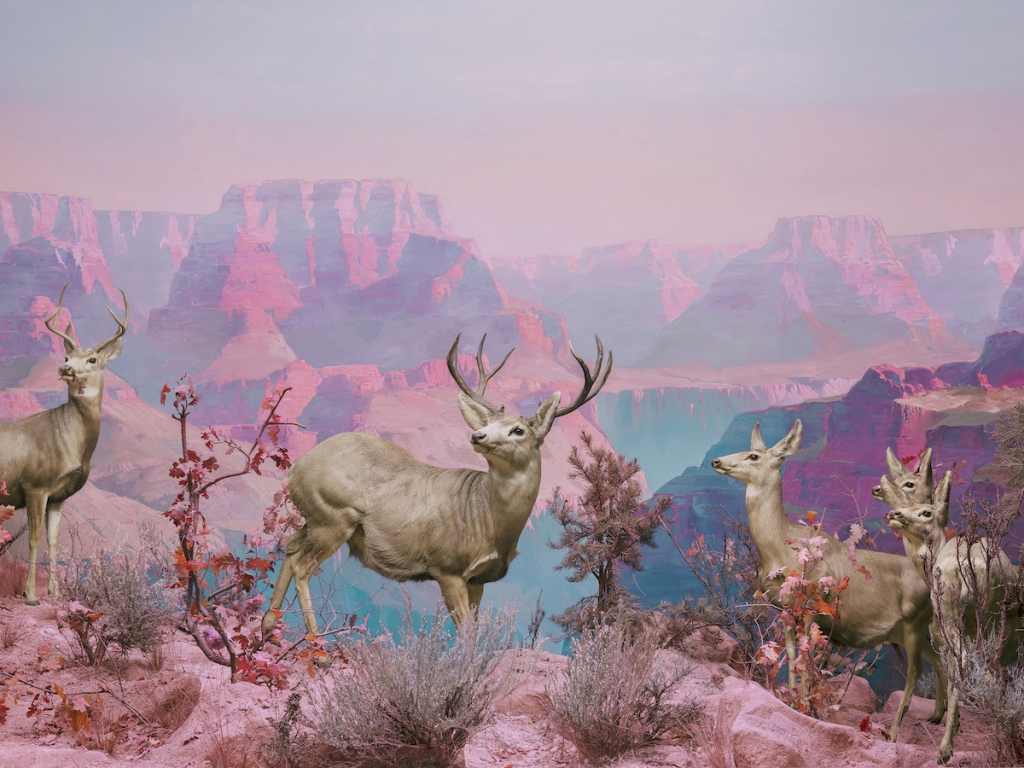Surreal ‘Digital Paintings’ Highlight Human’s Disconnection From Nature