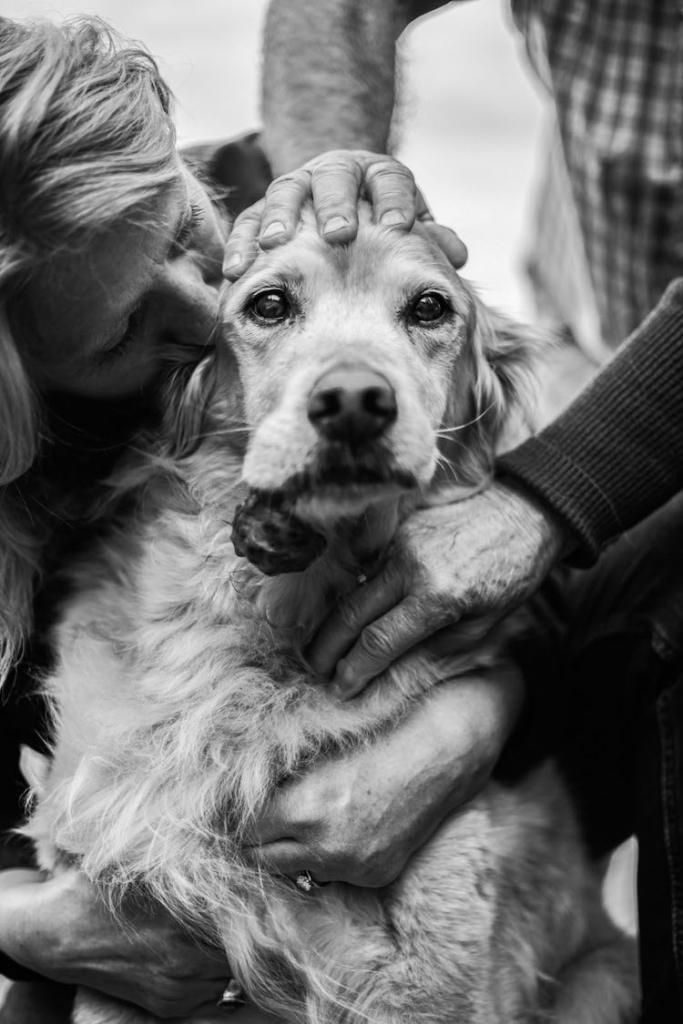 Photographer Offers End of Life Pet Photography Free of Charge