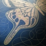 Calligrapher Created an Amazingly Intricate Butterfly Drawing