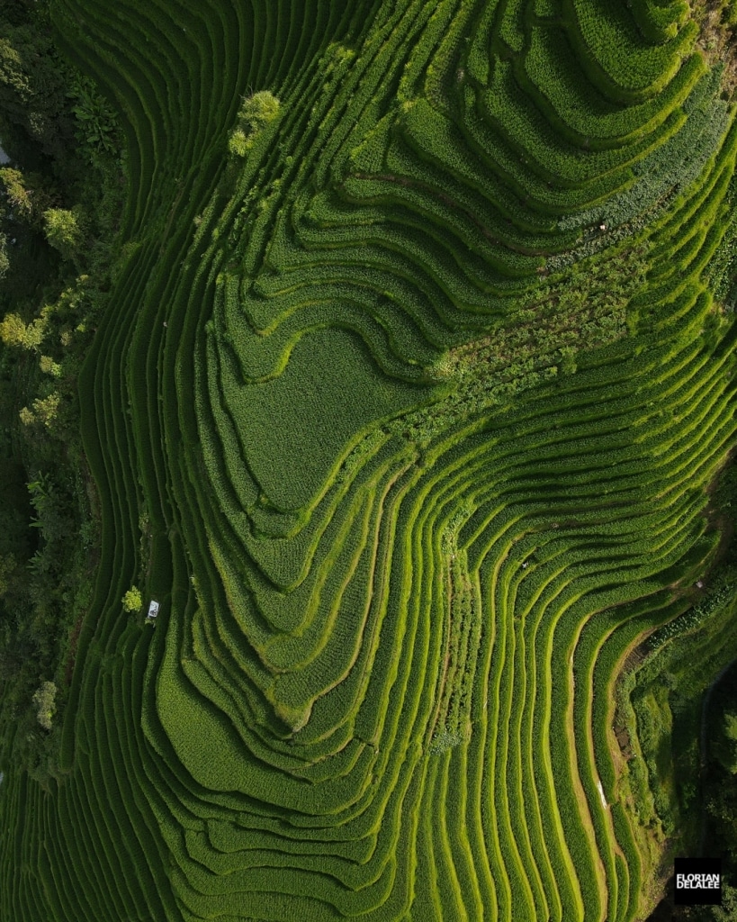 Le Meilleur De 2021 : Les 50 Meilleures Photos Prises Dans Le Monde Entier