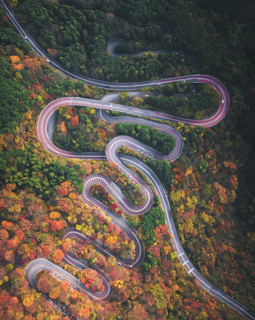 Le Meilleur De 2021 : Les 50 Meilleures Photos Prises Dans Le Monde Entier