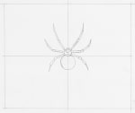 Learn How to Draw a Spider on a Spiderweb in 13 Steps