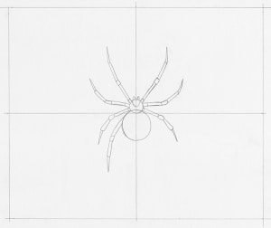 Learn How to Draw a Spider on a Spiderweb in 13 Steps