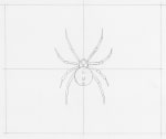 Learn How to Draw a Spider on a Spiderweb in 13 Steps