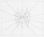 Learn How to Draw a Spider on a Spiderweb in 13 Steps