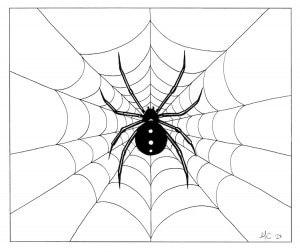 Learn How to Draw a Spider on a Spiderweb in 13 Steps