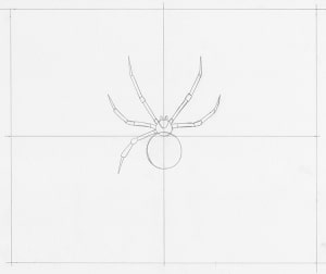 Learn How to Draw a Spider on a Spiderweb in 13 Steps