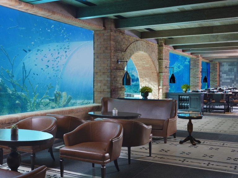 Dine Surrounded by Wildlife in Bali's First Underwater Restaurant