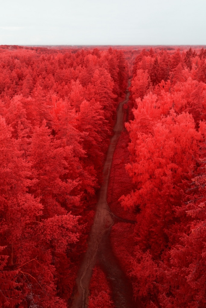 Infrared Photos Celebrate Latvia's Natural Environment