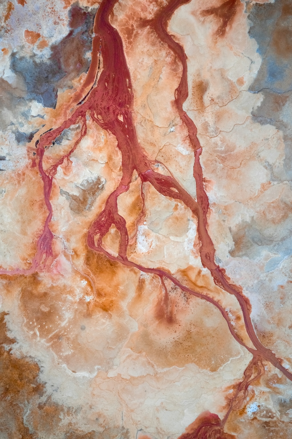 Photographer Captures Aiken Spring in the Gobi Desert