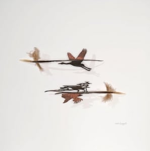 Artist Creates Incredible Bird-Inspired Works From Real Feathers