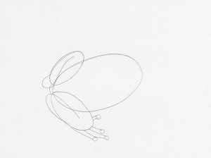 Learn How to Draw a Frog Step by Step | My Modern Met