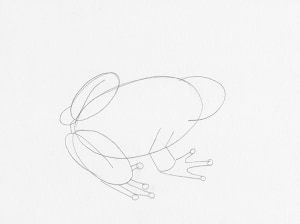 Aprende a hacer un dibujo de una rana paso a paso
