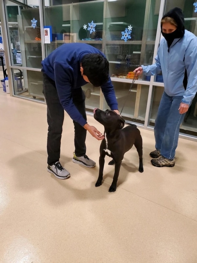 Amazing Dog Rescue Reunites Pup With Owner 4 Months Later