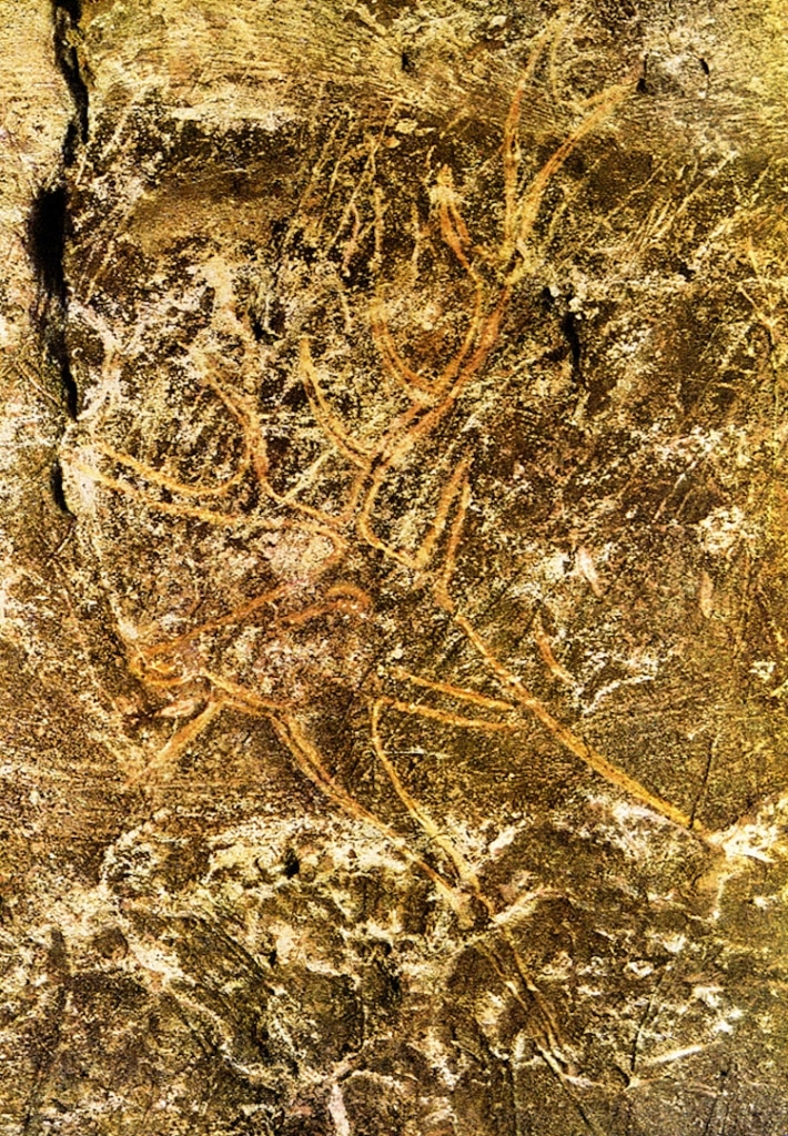 What are the Lascaux Cave Paintings? Learn About This Prehistoric Site