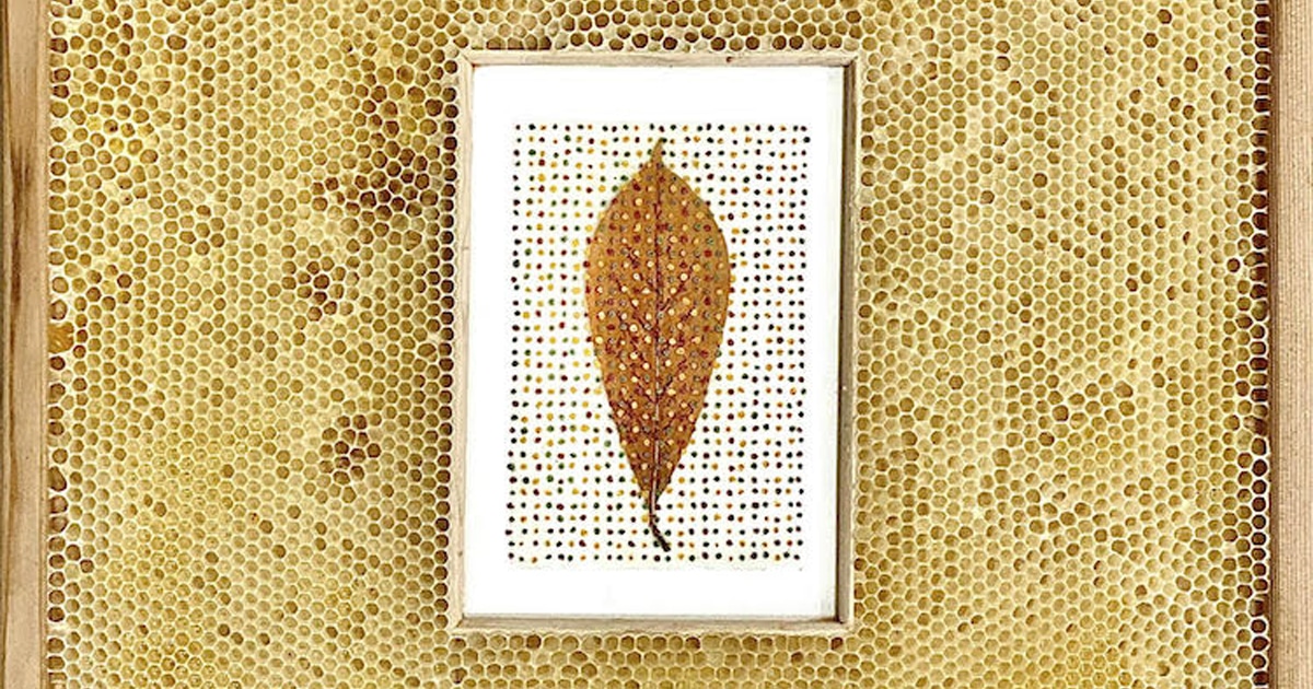 Artist Ava Roth on Her Collaboration With Honeybees [Podcast]