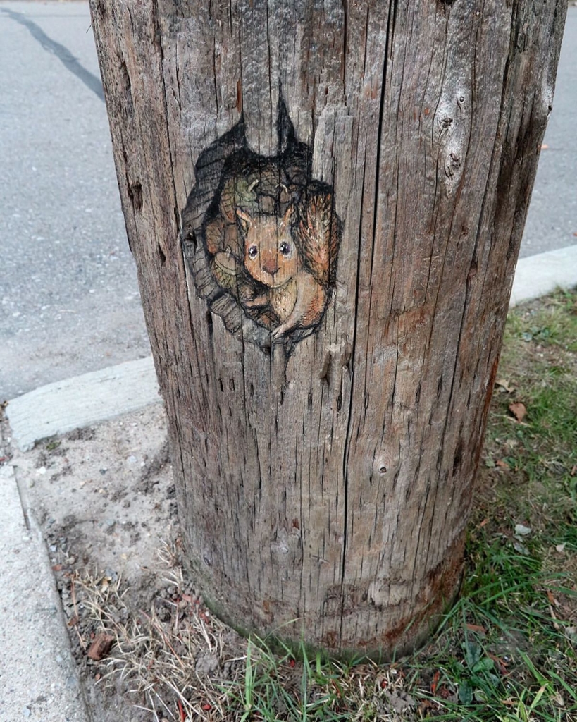Street Artist Finds Unexpected Places for Whimsical Chalk Drawings