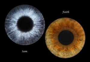 Eye-mazing Eye Photography Captures the Swirling Beauty of the Iris