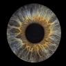 Eye-mazing Eye Photography Captures the Swirling Beauty of the Iris