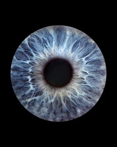 Eye-mazing Eye Photography Captures the Swirling Beauty of the Iris